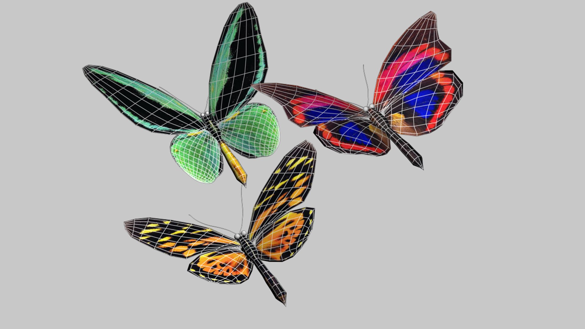 Colorful Butterflies 3d Model