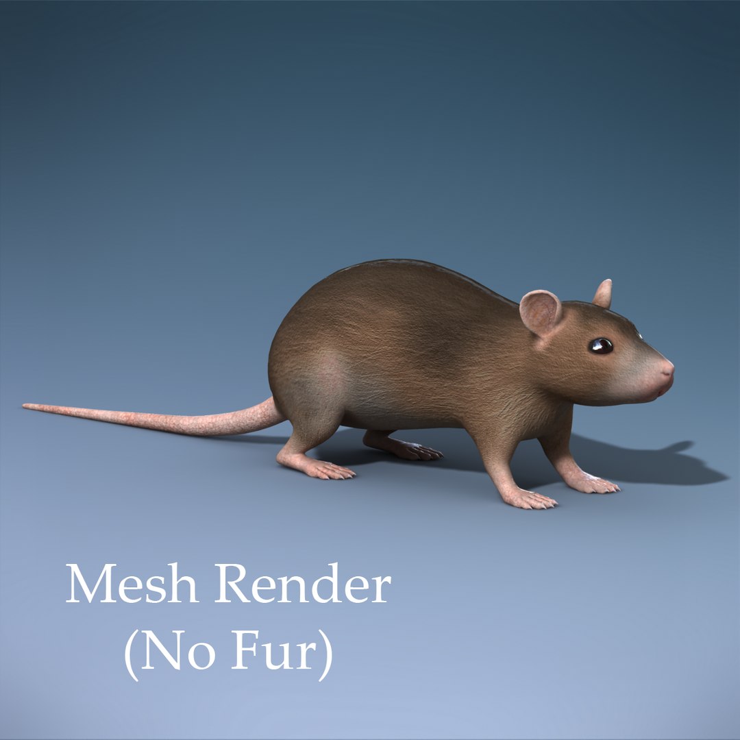 Rat Rigged Max