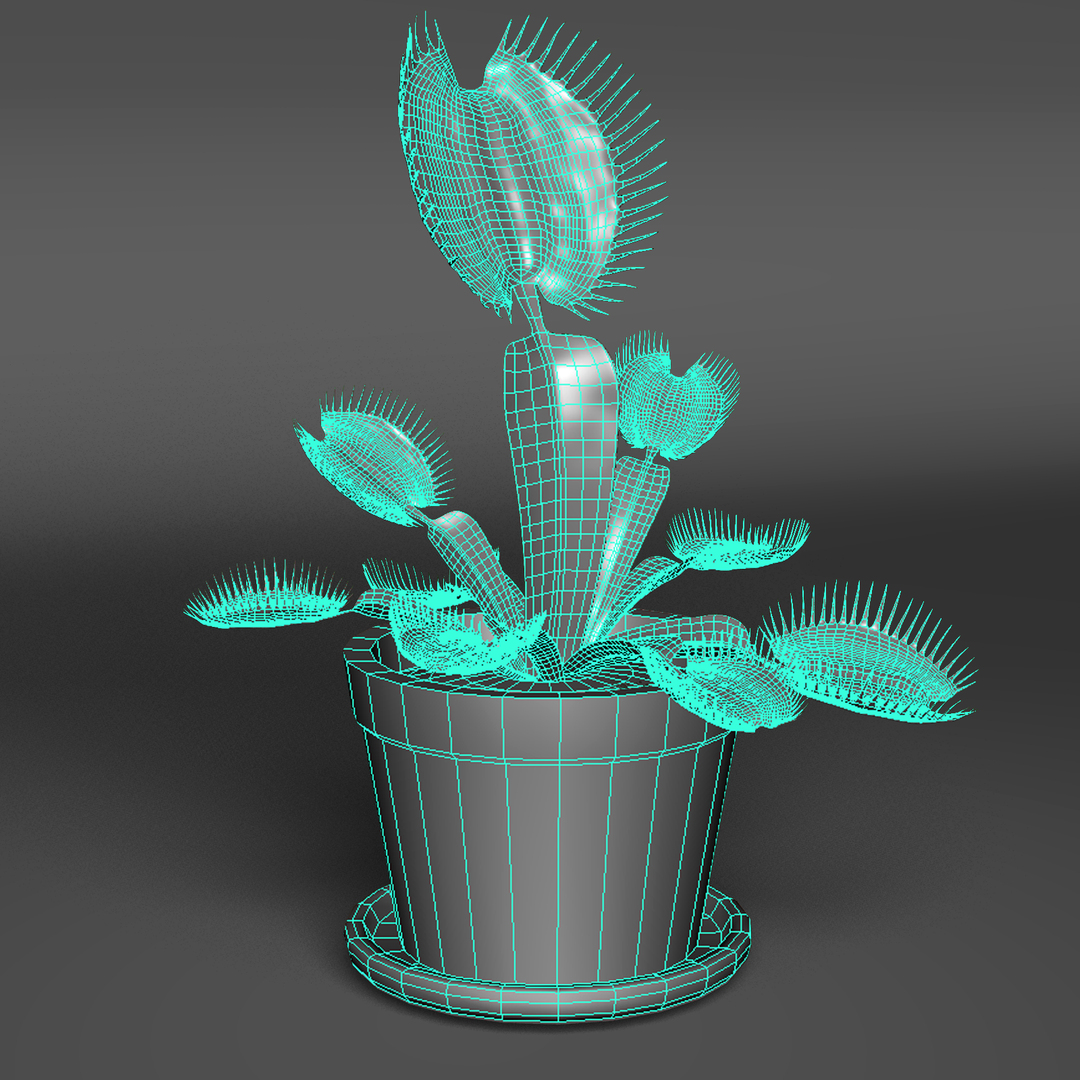 3d model venus fly trap