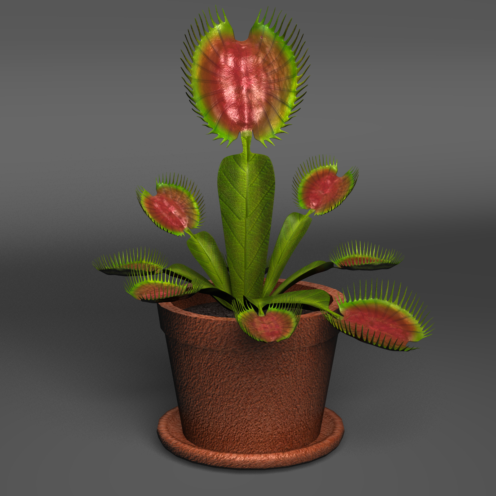3d model venus fly trap