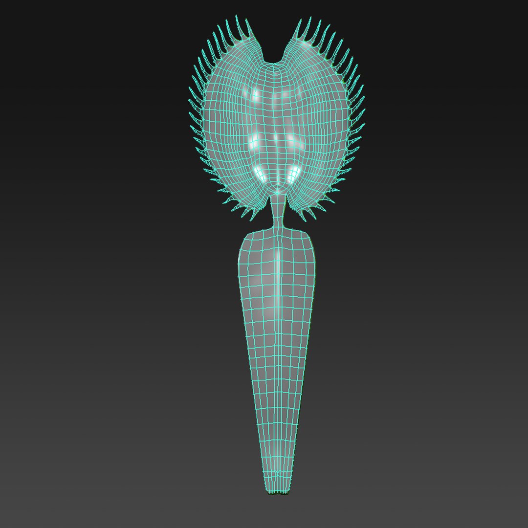 3d Model Venus Fly Trap