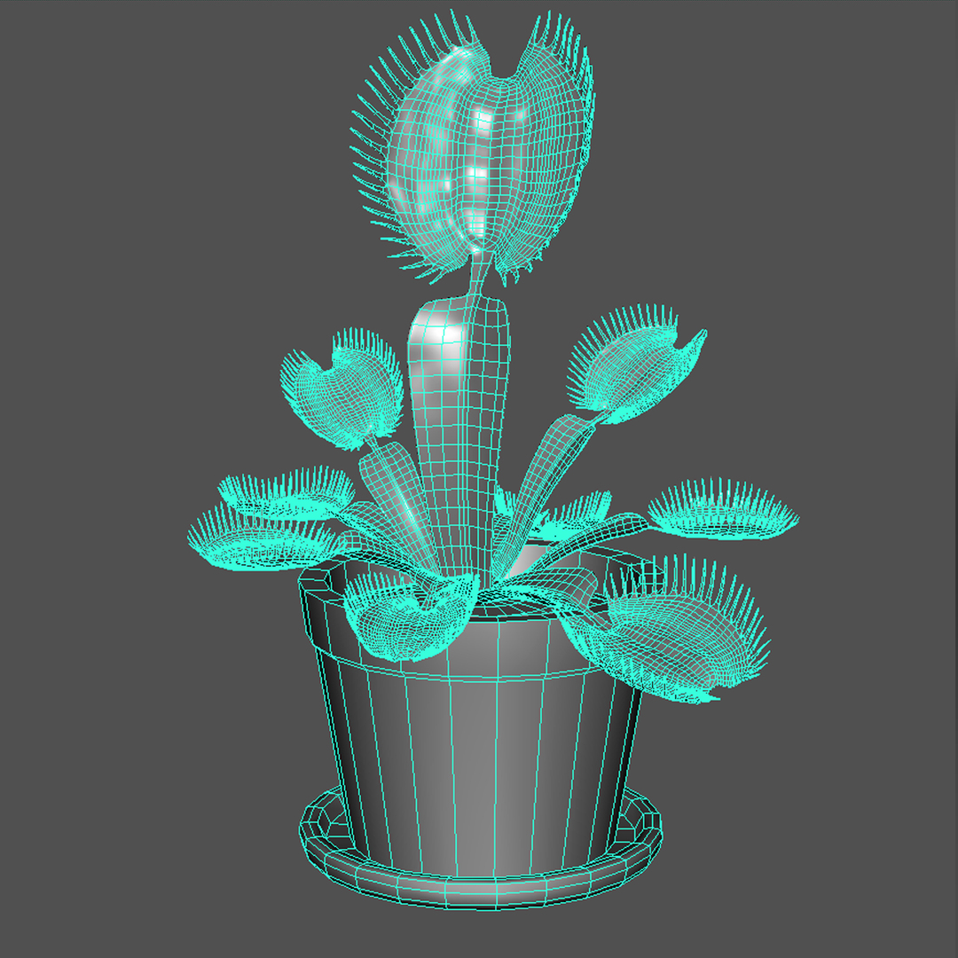 3d model venus fly trap
