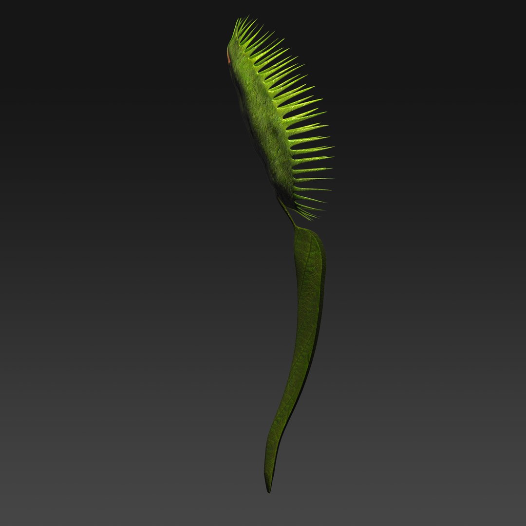 3d Model Venus Fly Trap