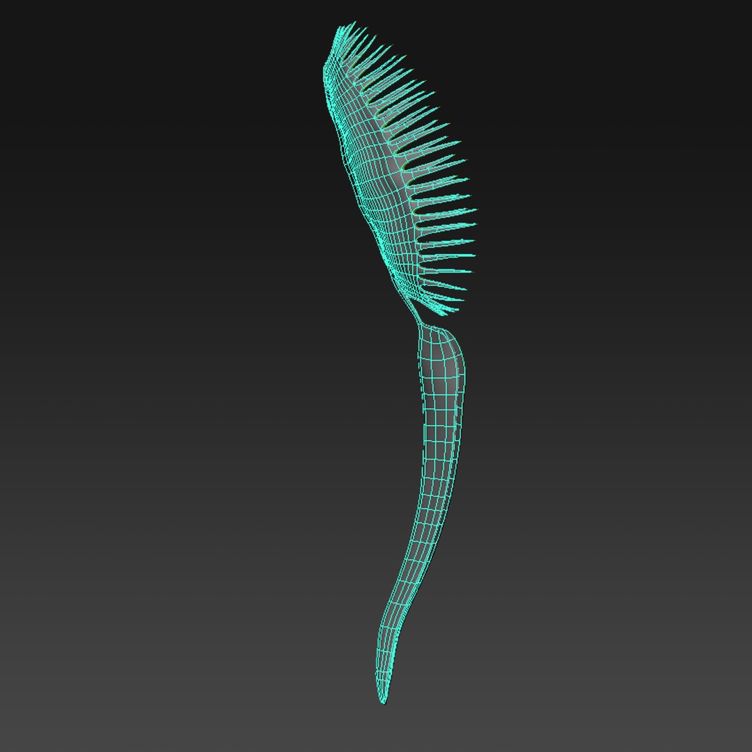 3d Model Venus Fly Trap