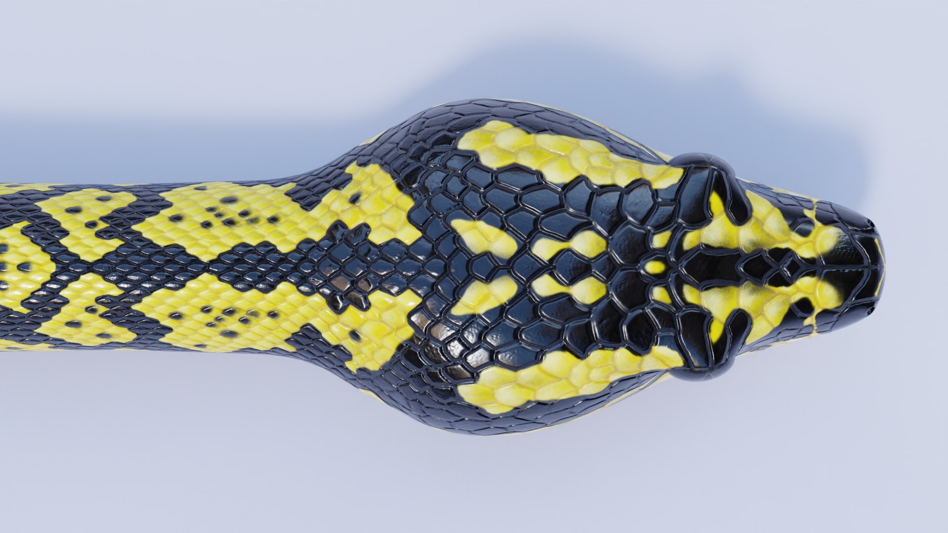 Rigged Zebra Jungle Carpet Python 3D Model - TurboSquid 1952303