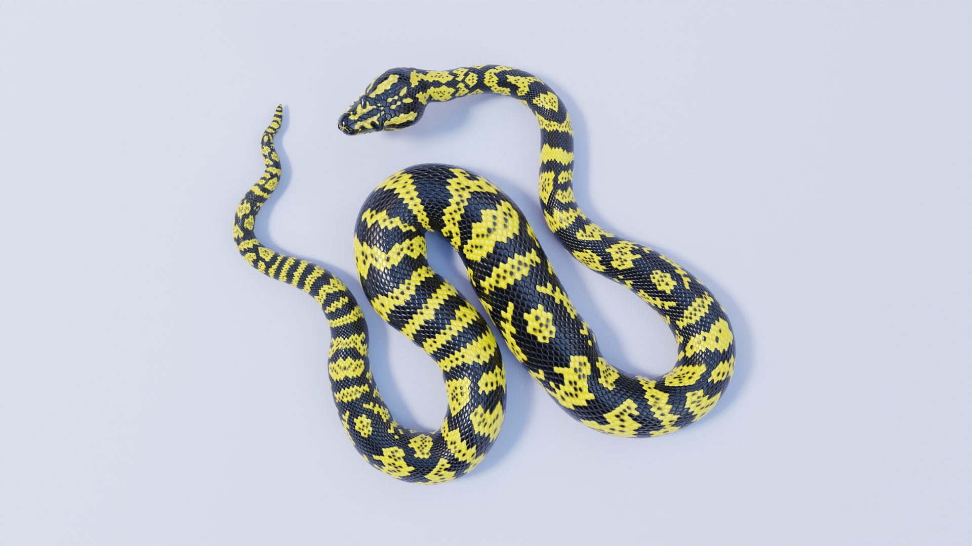 Rigged Zebra Jungle Carpet Python 3D model - TurboSquid 1952303