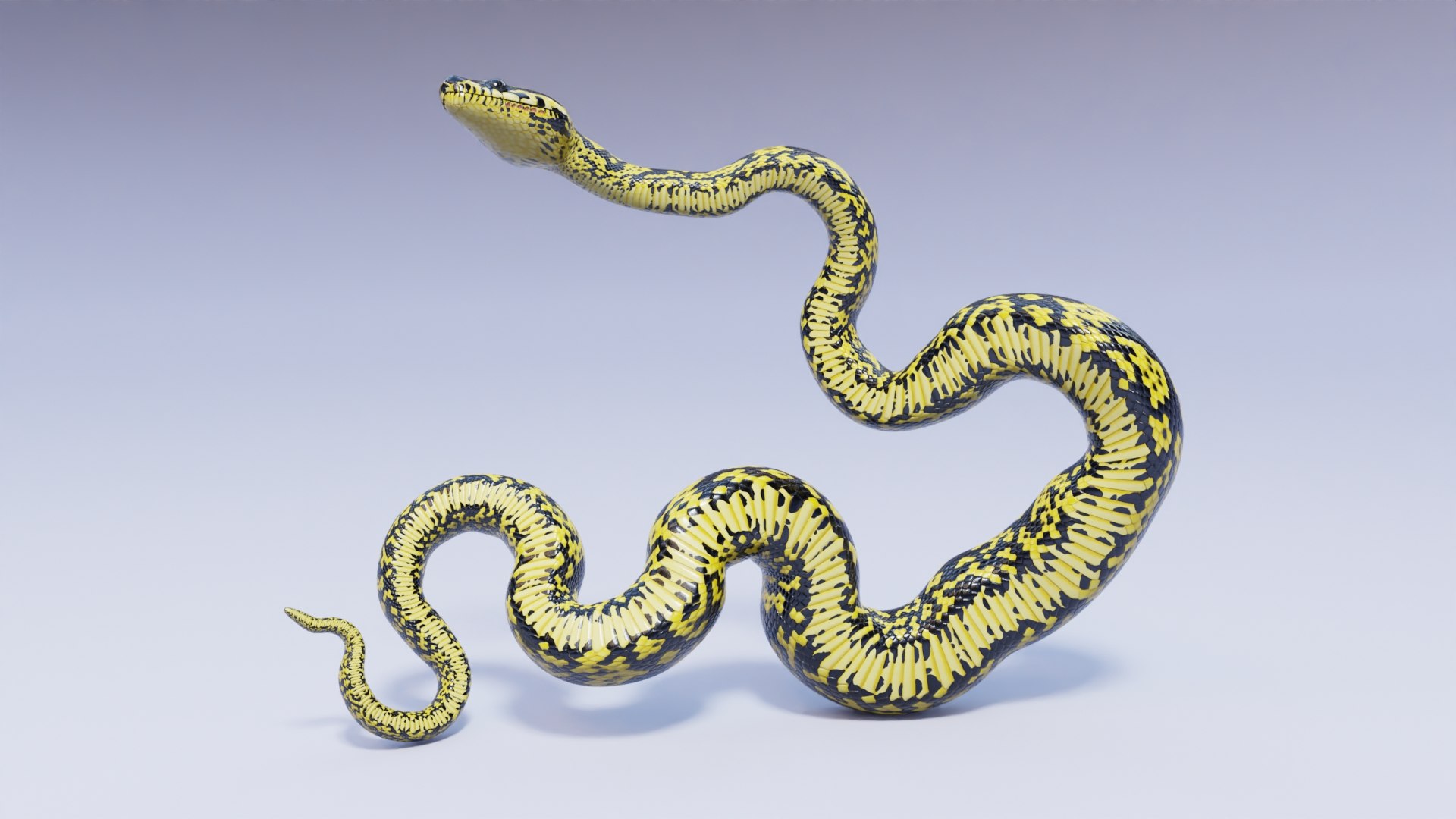 Rigged Zebra Jungle Carpet Python 3D Model - TurboSquid 1952303
