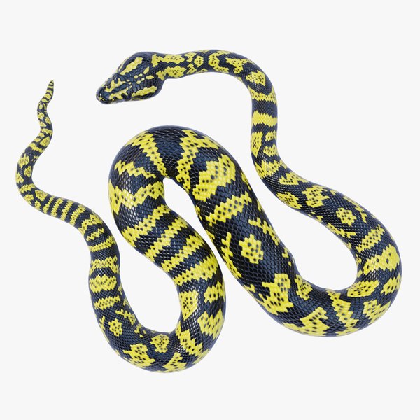 modelo 3d Rigged Zebra Jungle Carpet Python - TurboSquid 1952303