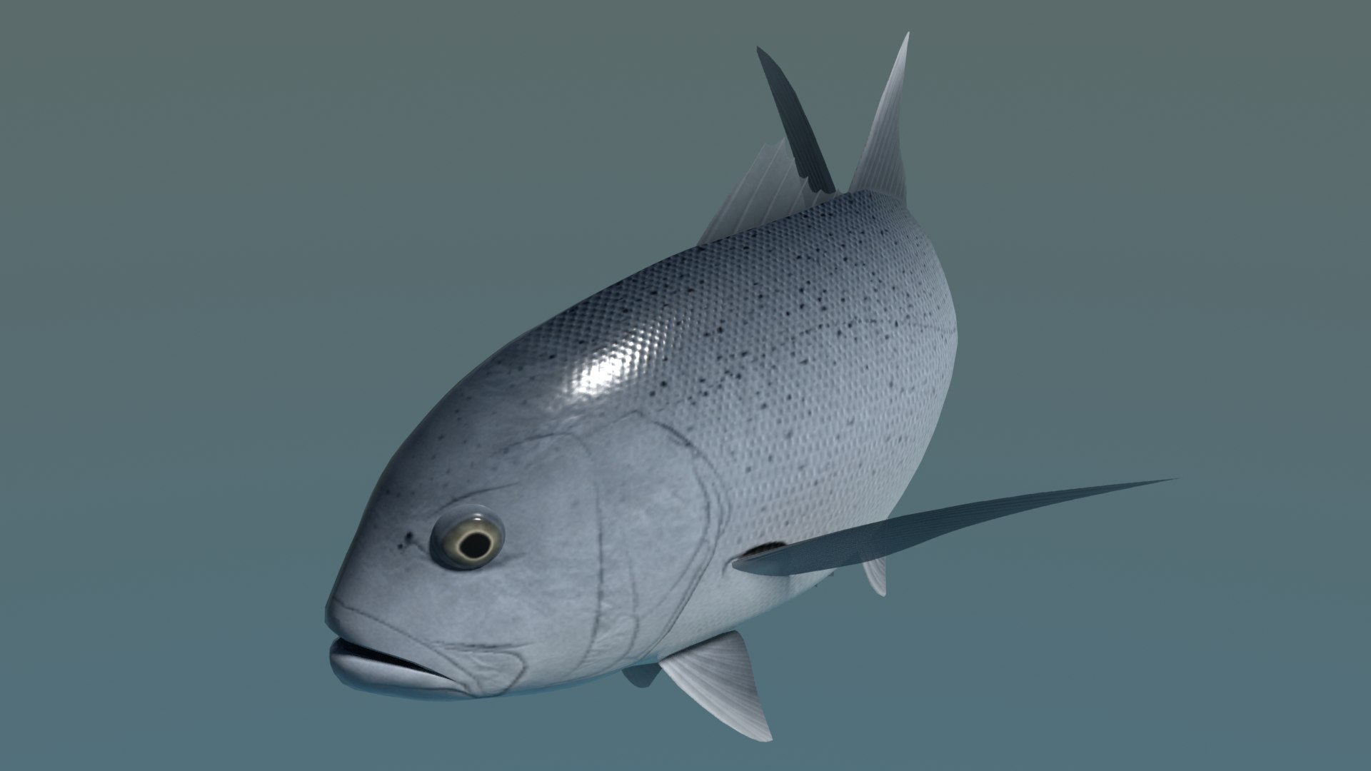 3d Model Of Giant Trevally