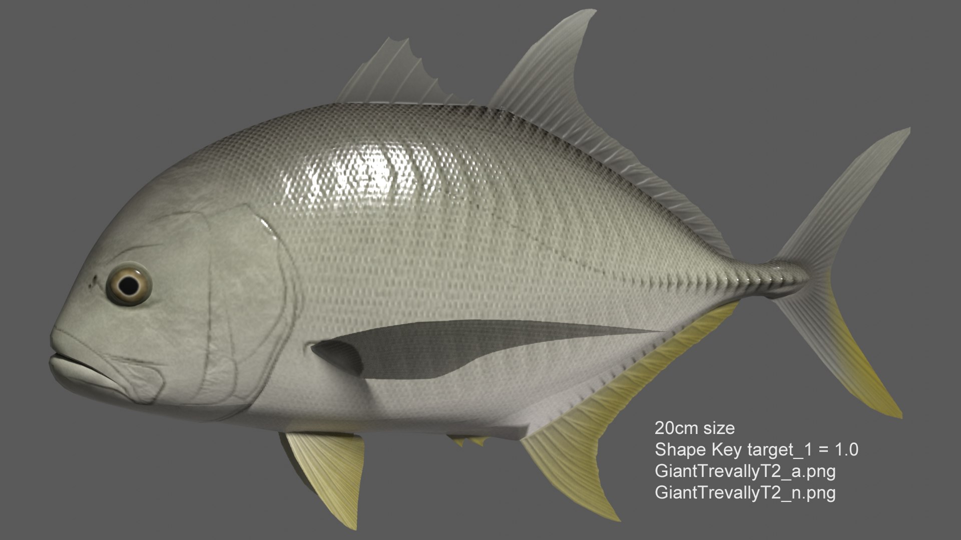 3d Model Of Giant Trevally
