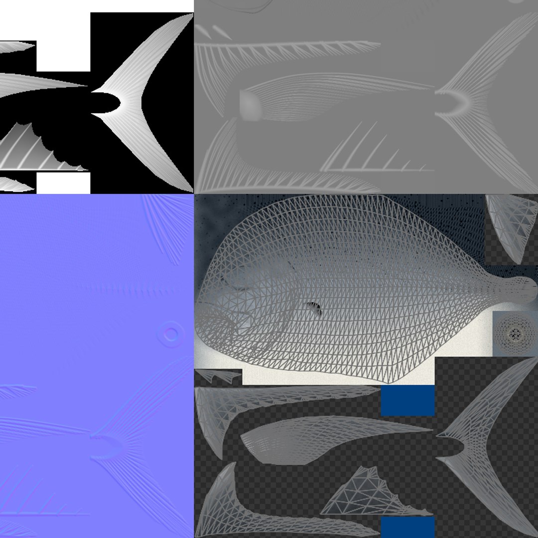 3d Model Of Giant Trevally