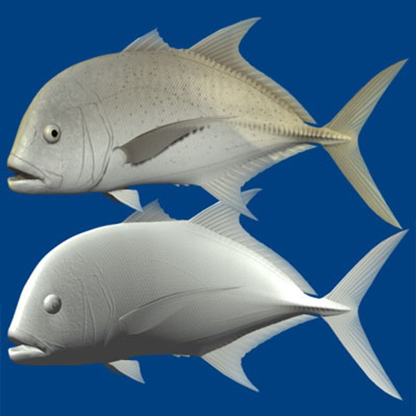 3d model of giant trevally