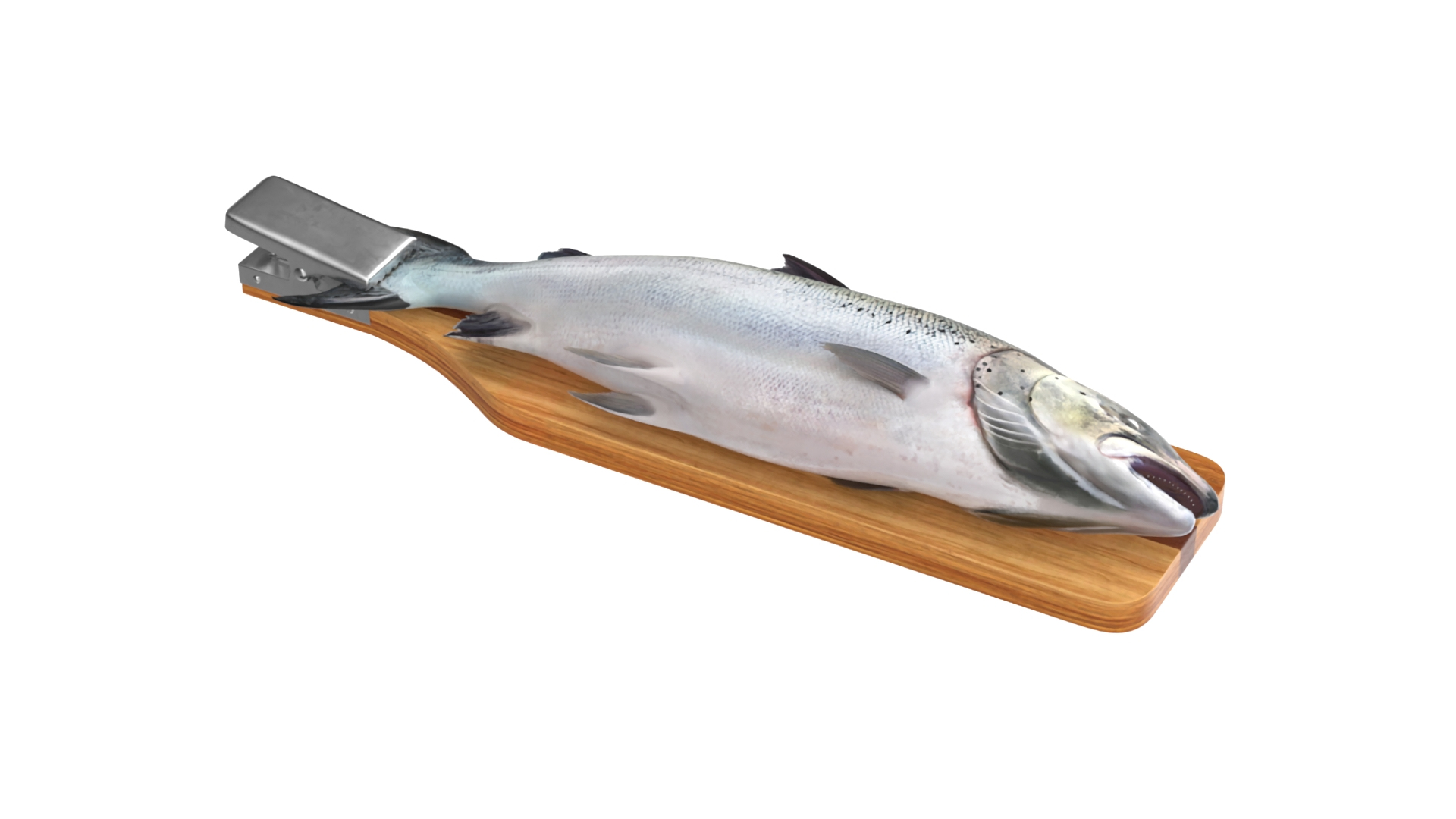 3D Fillet Board With Salmon - TurboSquid 2248694