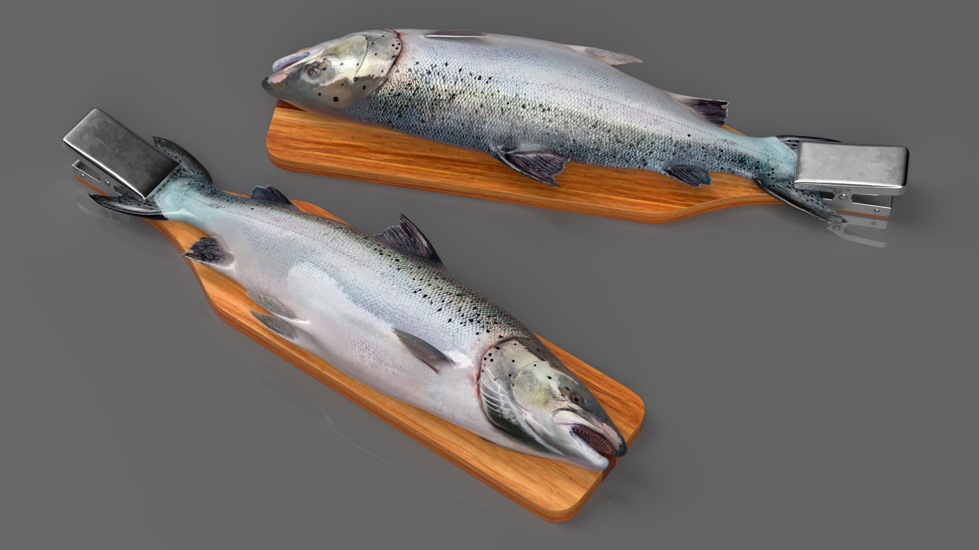 3D Fillet Board With Salmon - TurboSquid 2248694