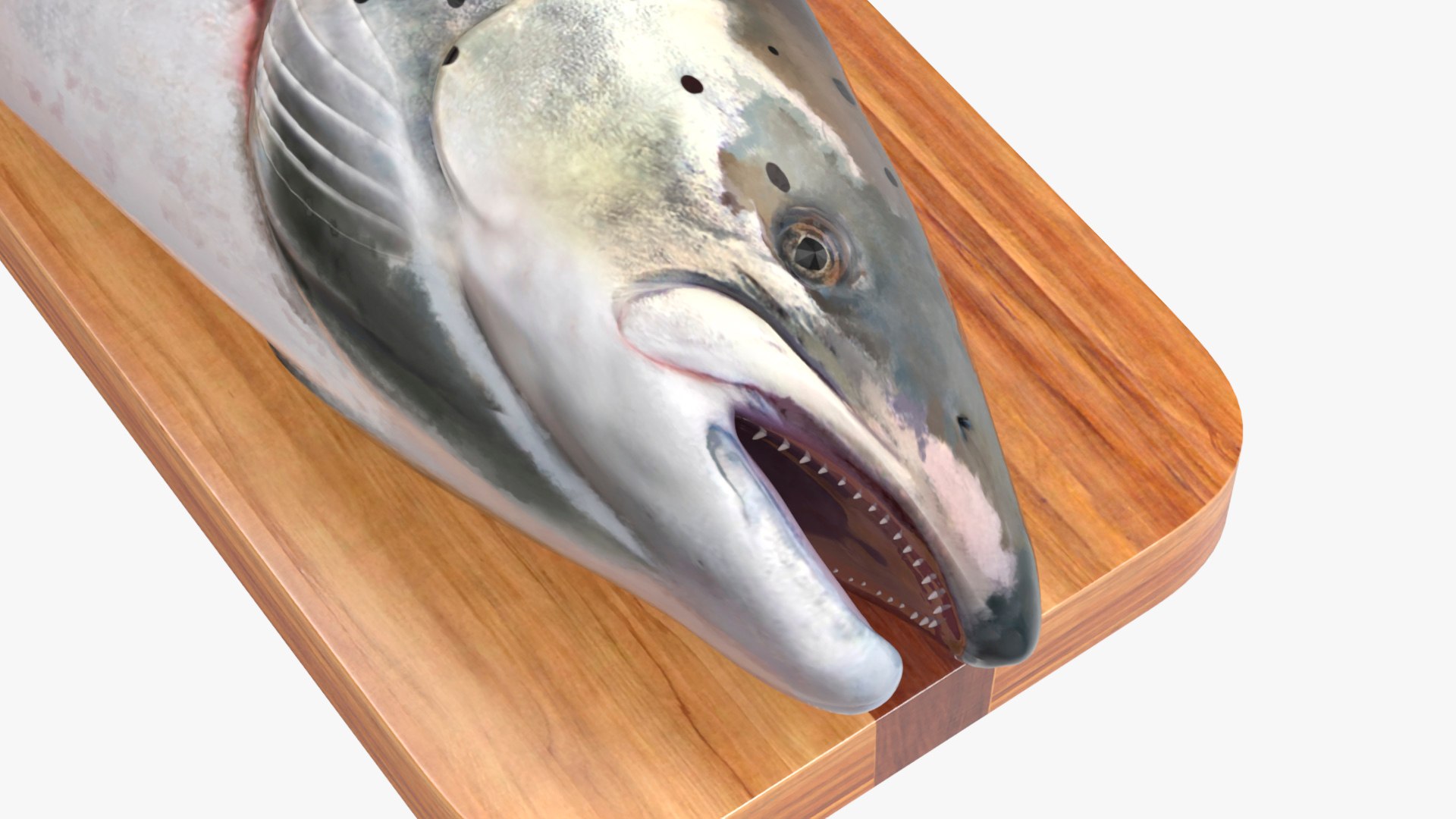 3D Fillet Board With Salmon - TurboSquid 2248694