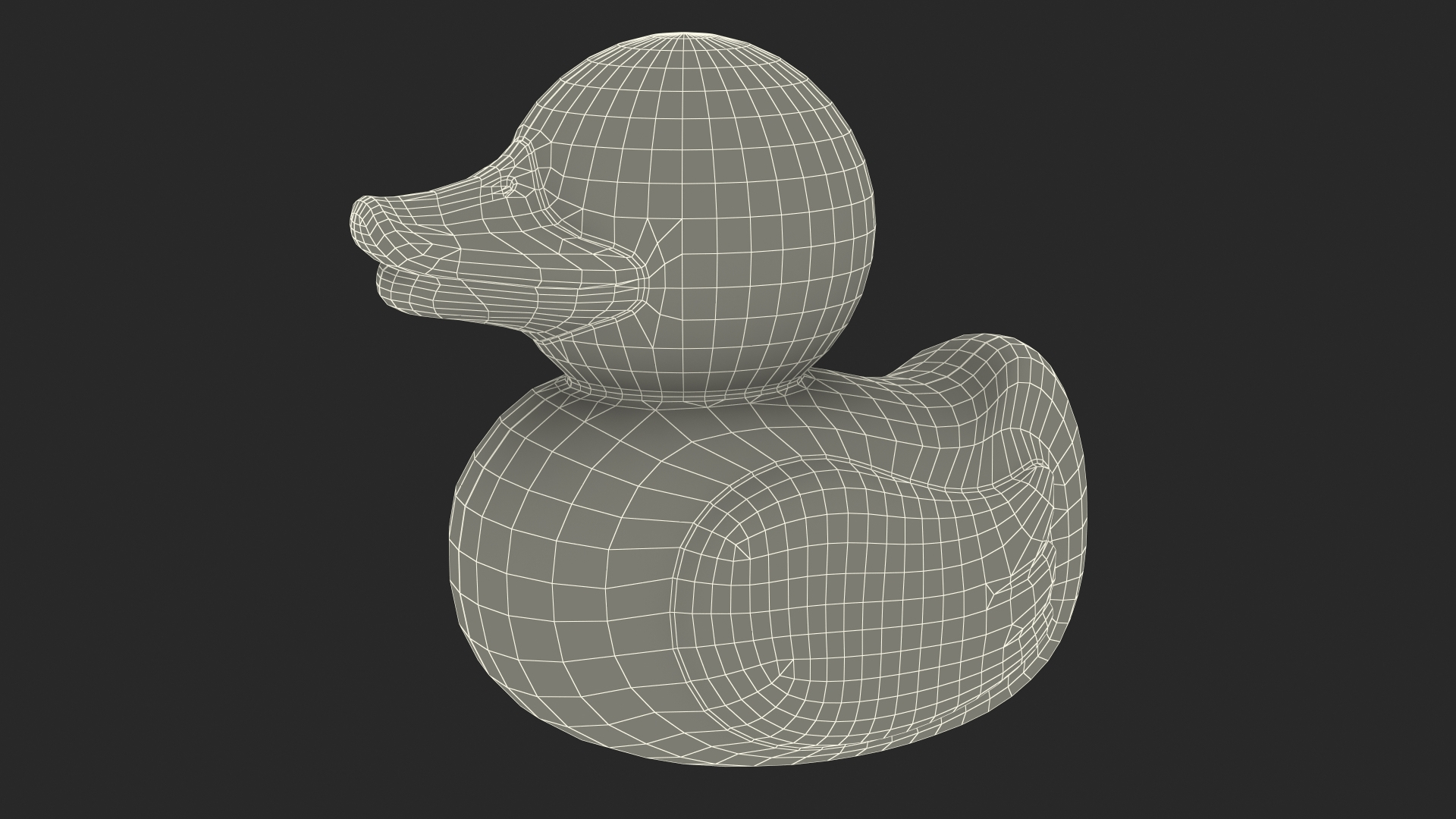 Bath Duck Anatomy Transparent Shell 3D - TurboSquid 1839939