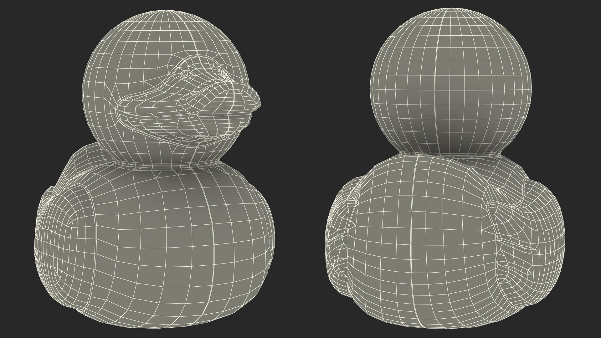 Bath Duck Anatomy Transparent Shell 3D - TurboSquid 1839939