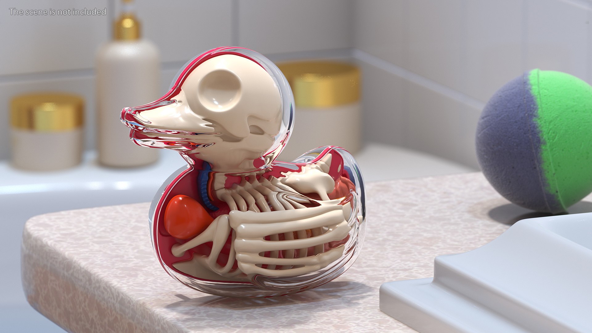 Bath Duck Anatomy Transparent Shell 3D - TurboSquid 1839939