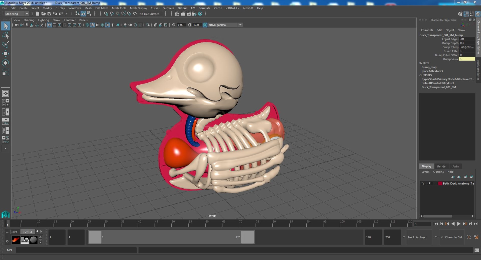 Bath Duck Anatomy Transparent Shell 3D - TurboSquid 1839939