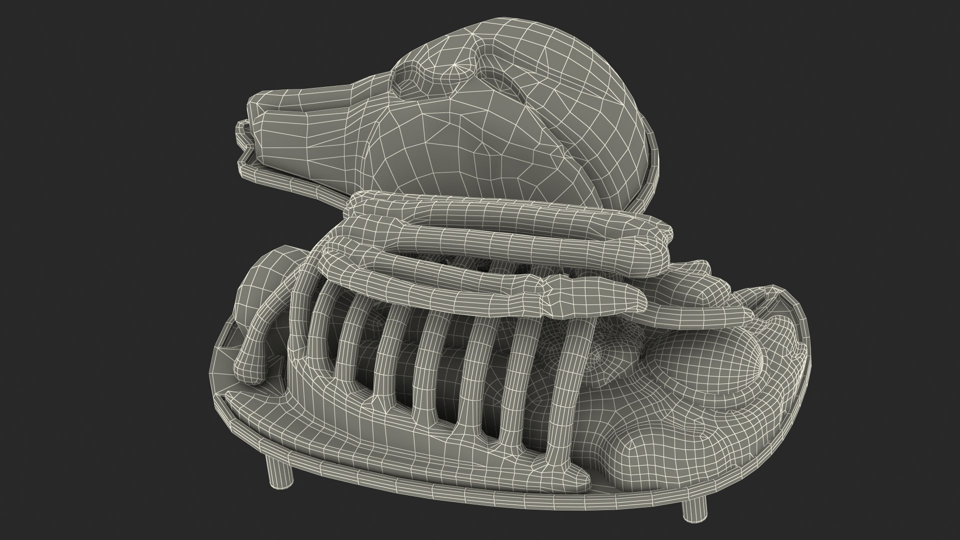 Bath Duck Anatomy Transparent Shell 3D - TurboSquid 1839939