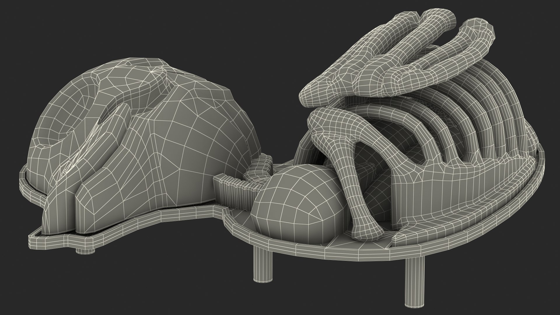 Bath Duck Anatomy Transparent Shell 3D - TurboSquid 1839939