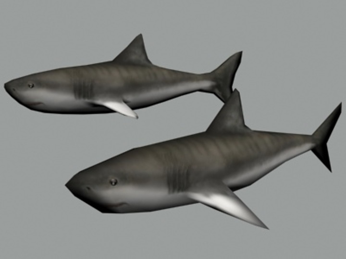 maya polygonal shark