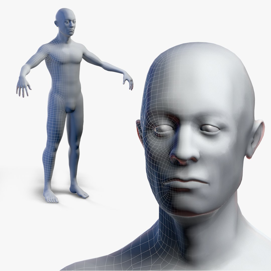 3D male body base mannequin model - TurboSquid 1625536