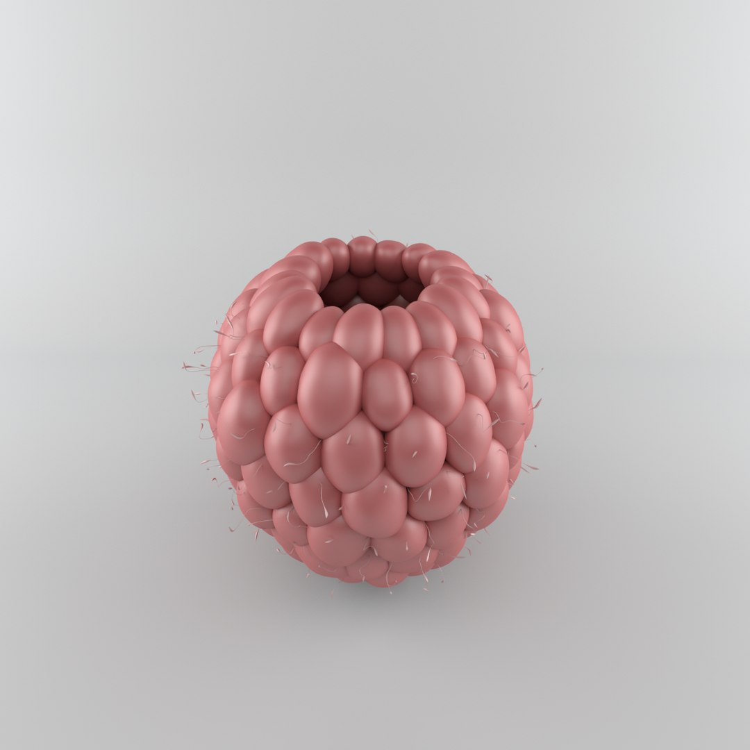 3D Model Raspberry Berry Cartoon - TurboSquid 1459971