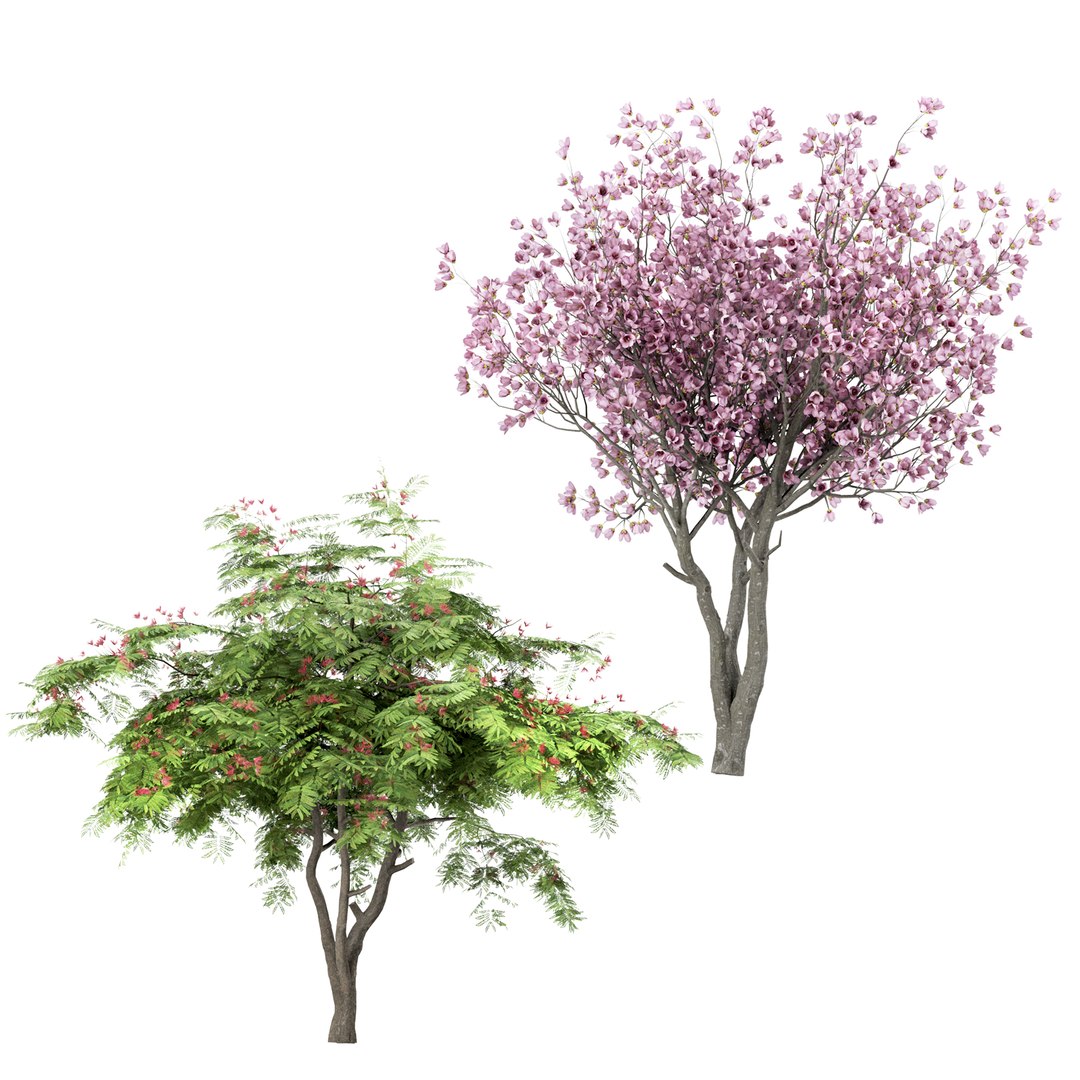 3D Set Of Red Maple -Chinese Magnolia And Persian Silk Trees Model ...