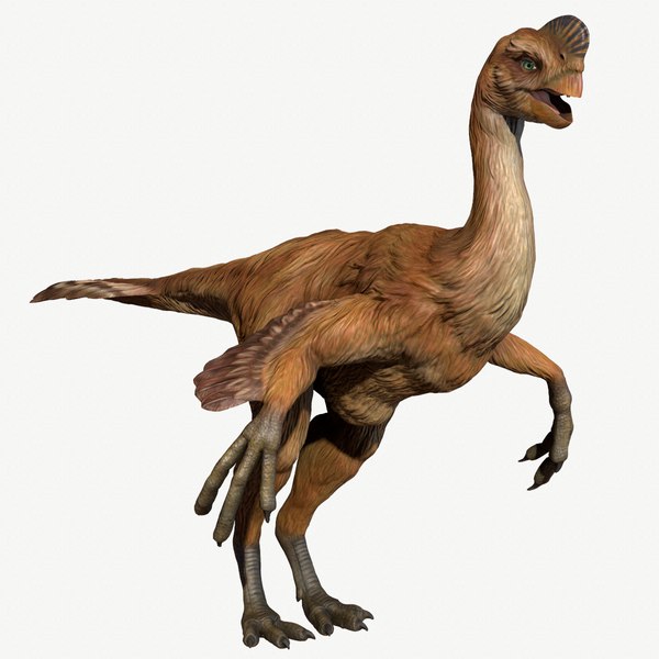 Citipati 3D 모델 - TurboSquid 1228902