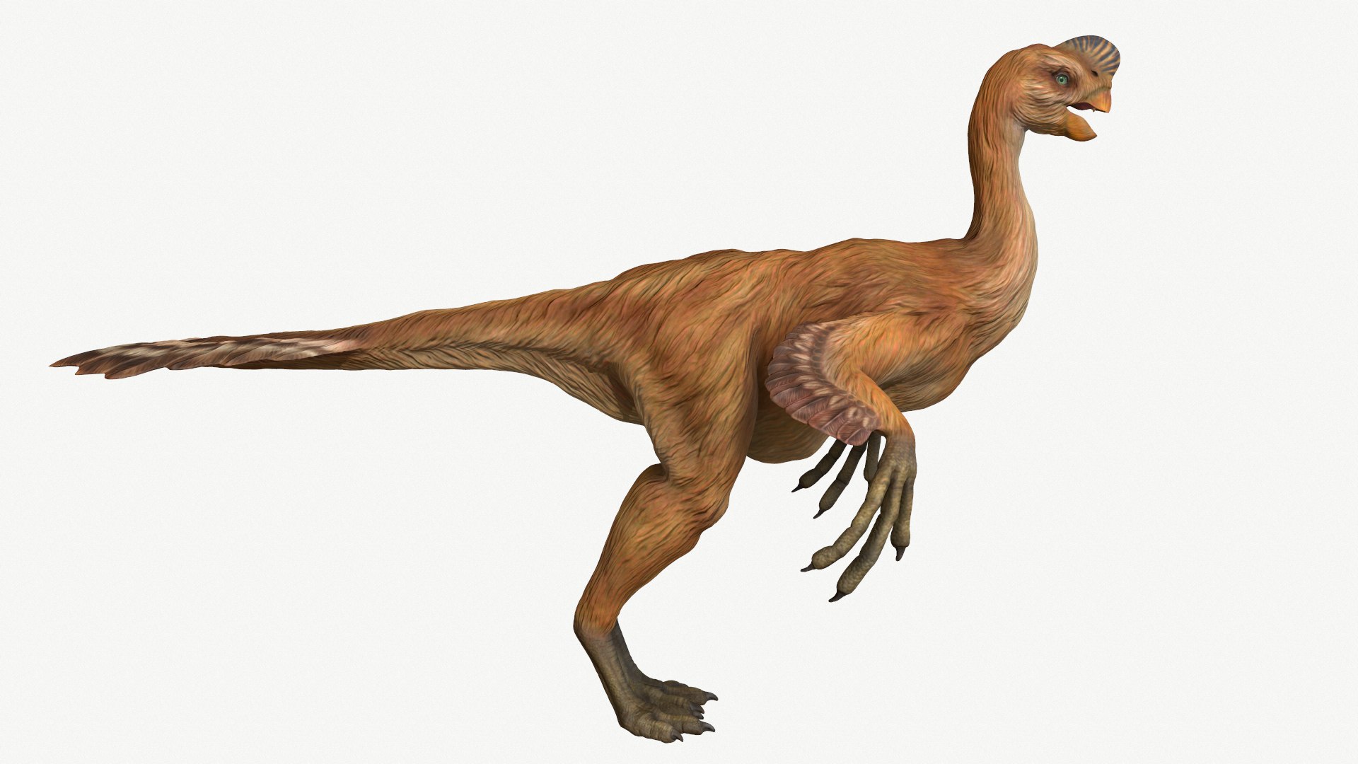 Citipati Model - TurboSquid 1228902