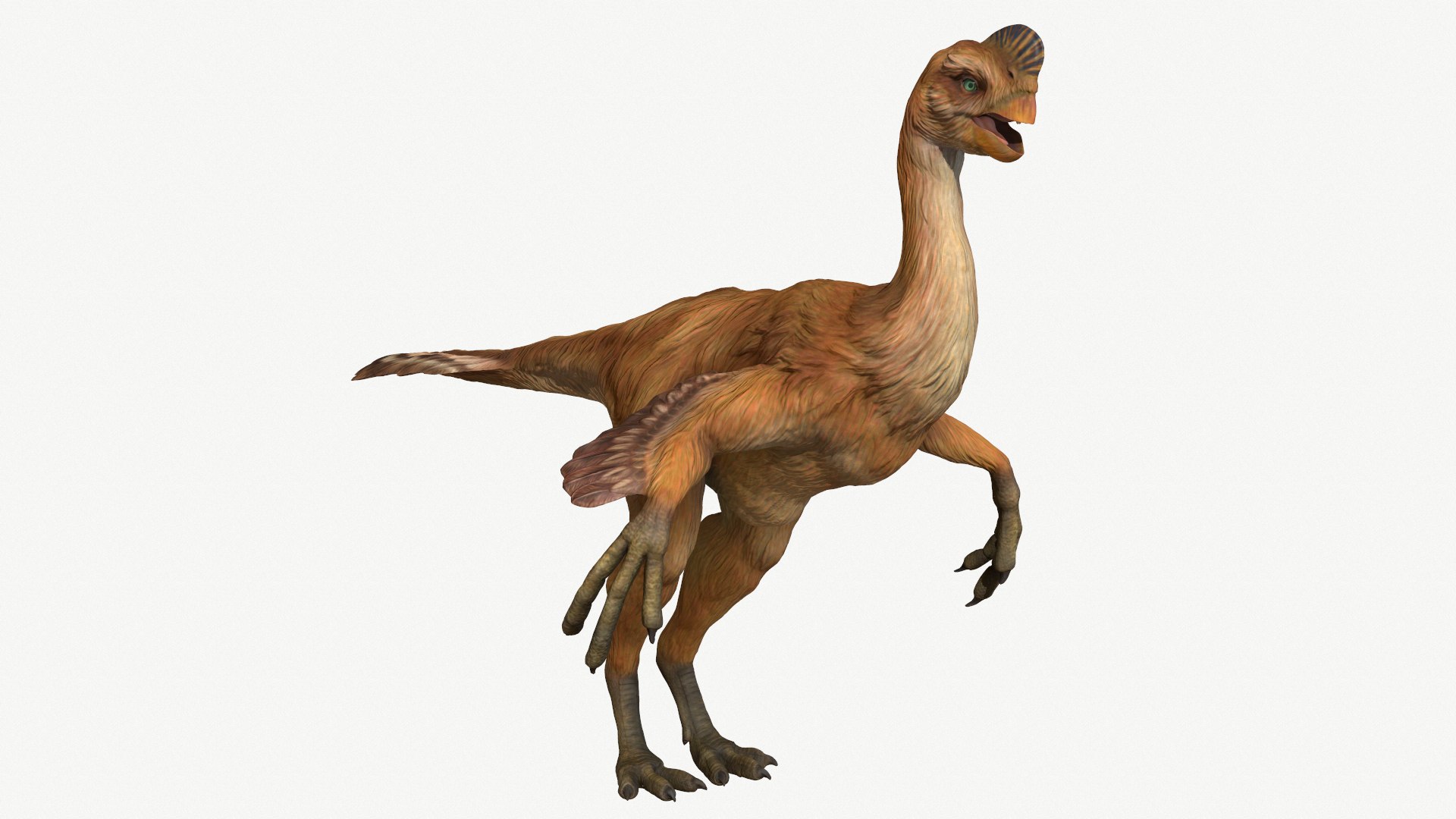 Citipati Model - TurboSquid 1228902