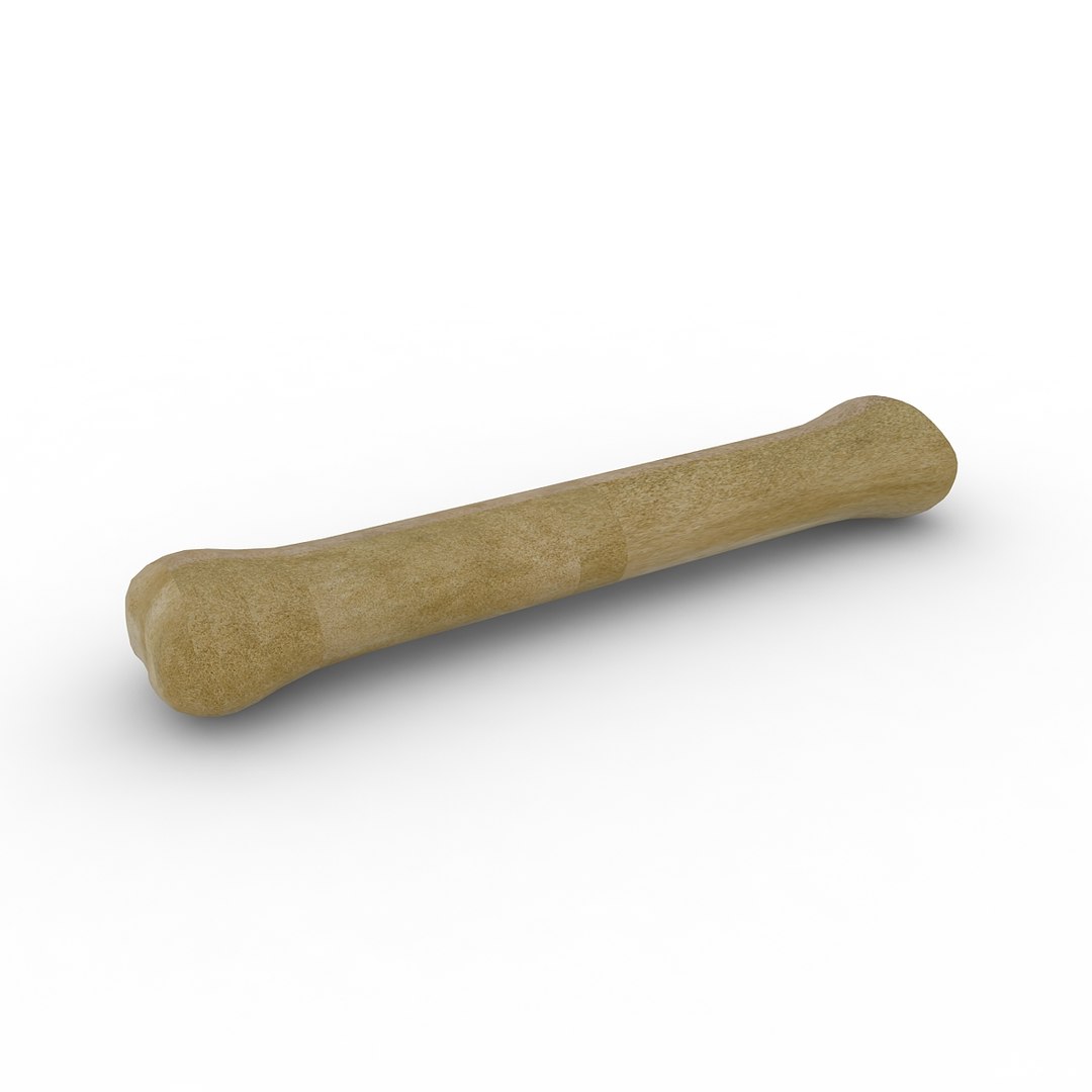 Free Bone 3d Model