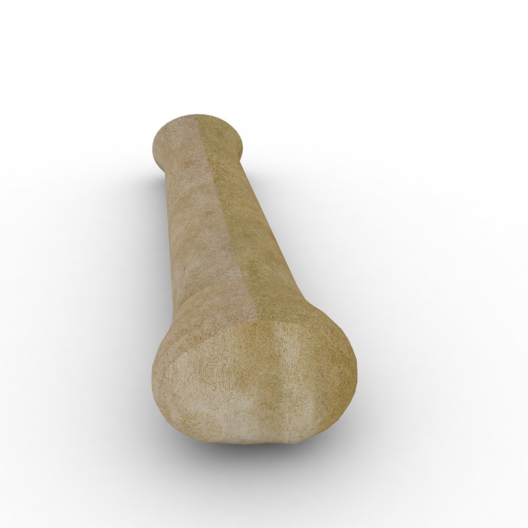 Free Bone 3d Model