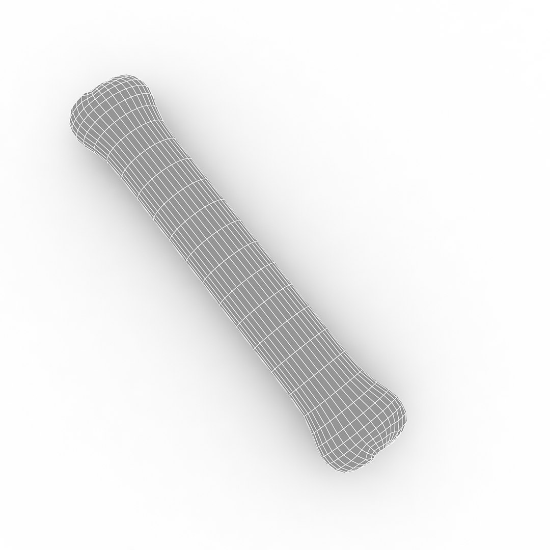 Free Bone 3d Model