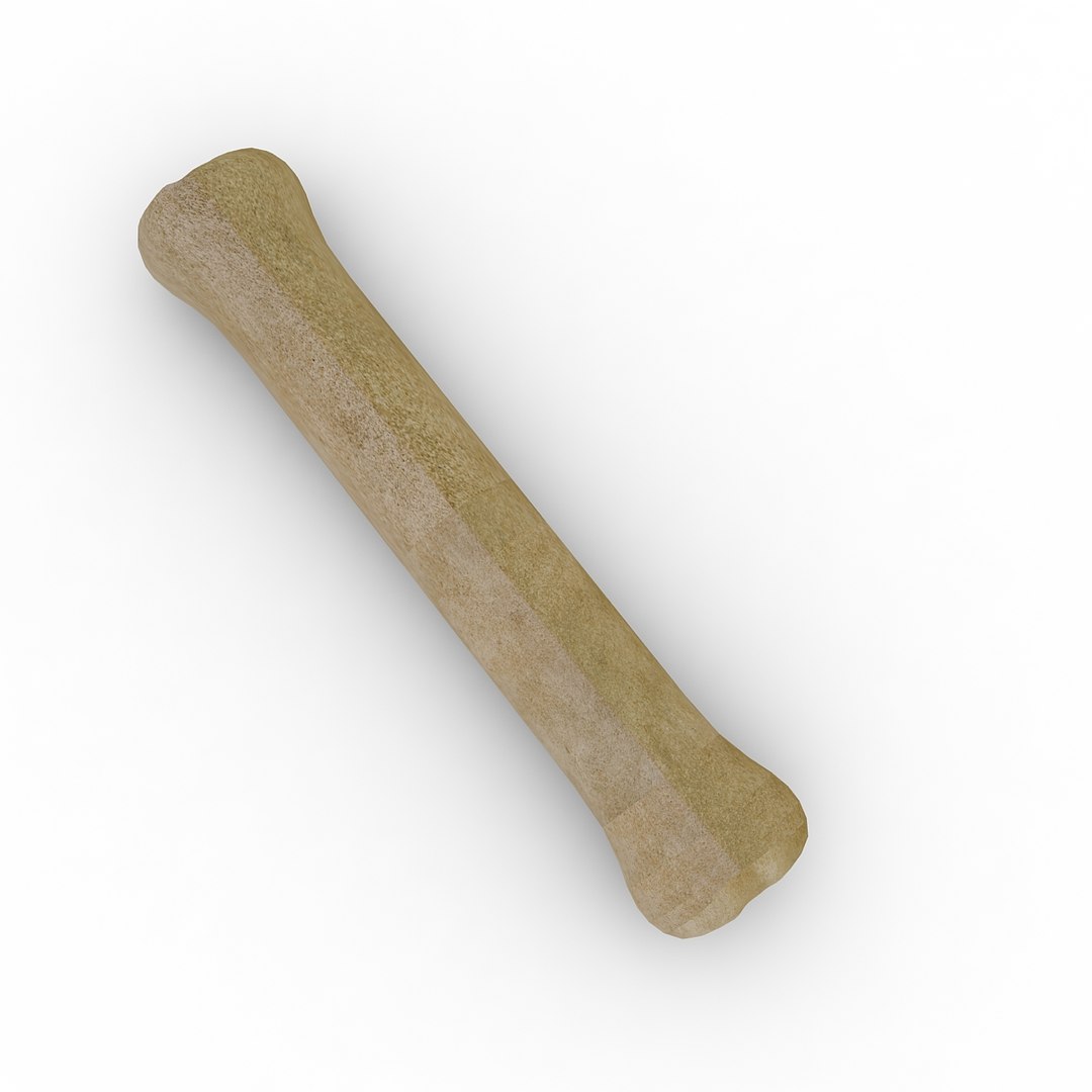 Free Bone 3d Model