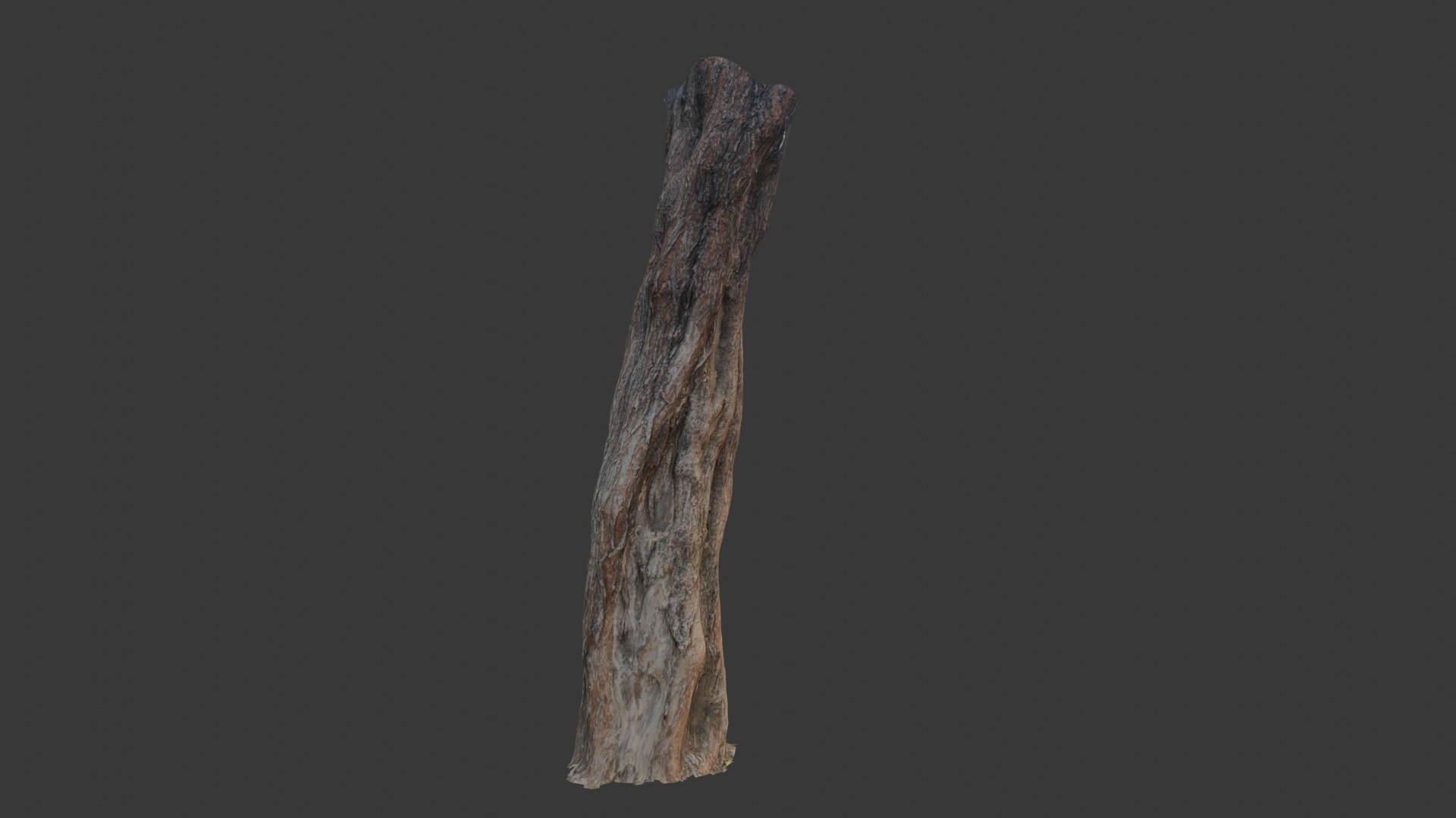 3D Tree Trunk 3D Scan - TurboSquid 2405579