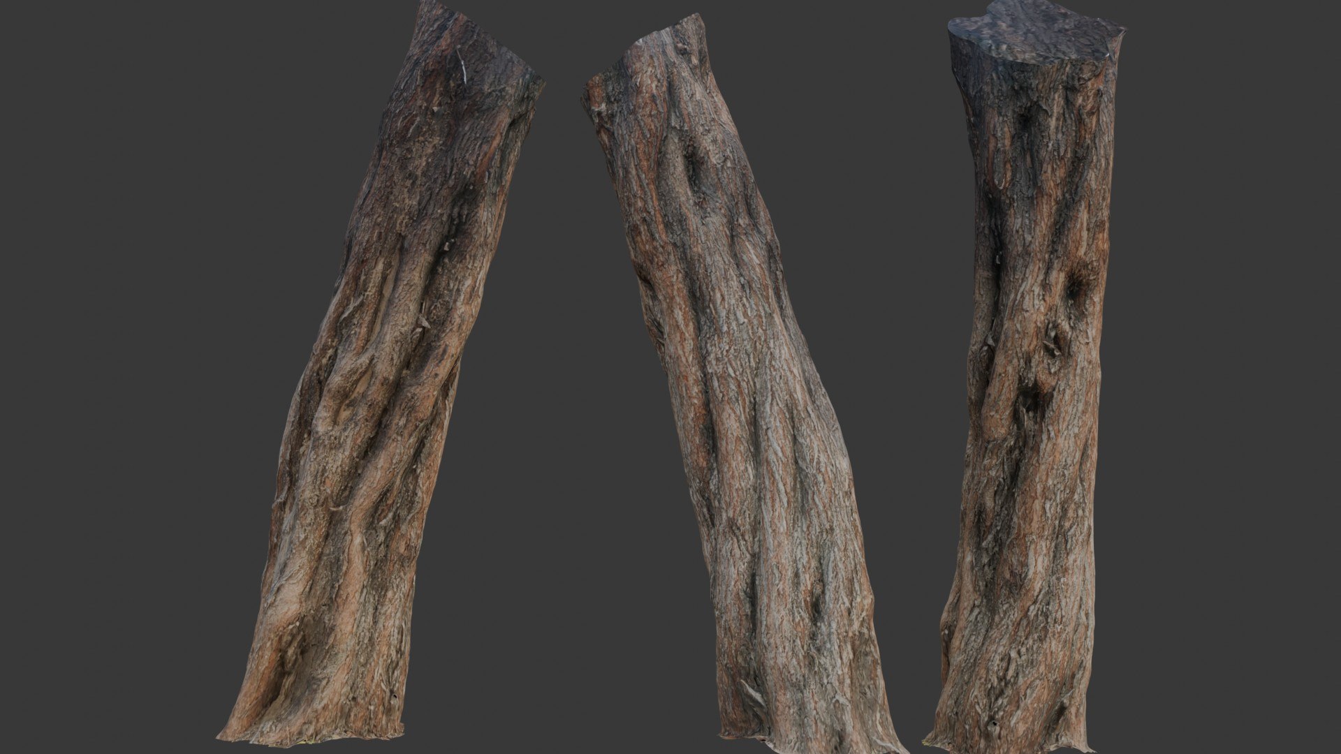 3D Tree Trunk 3D Scan - TurboSquid 2405579