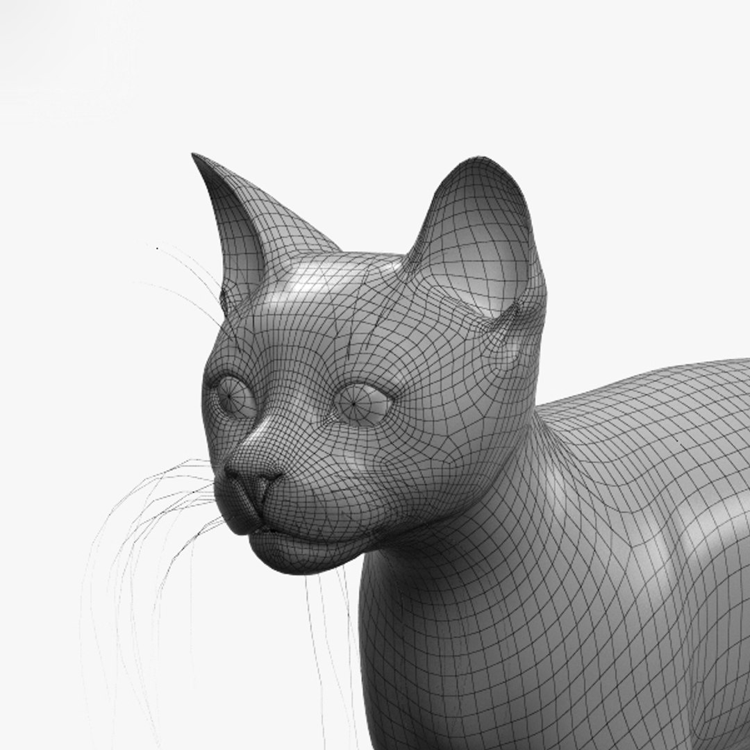 3D cat ginger model - TurboSquid 1362921
