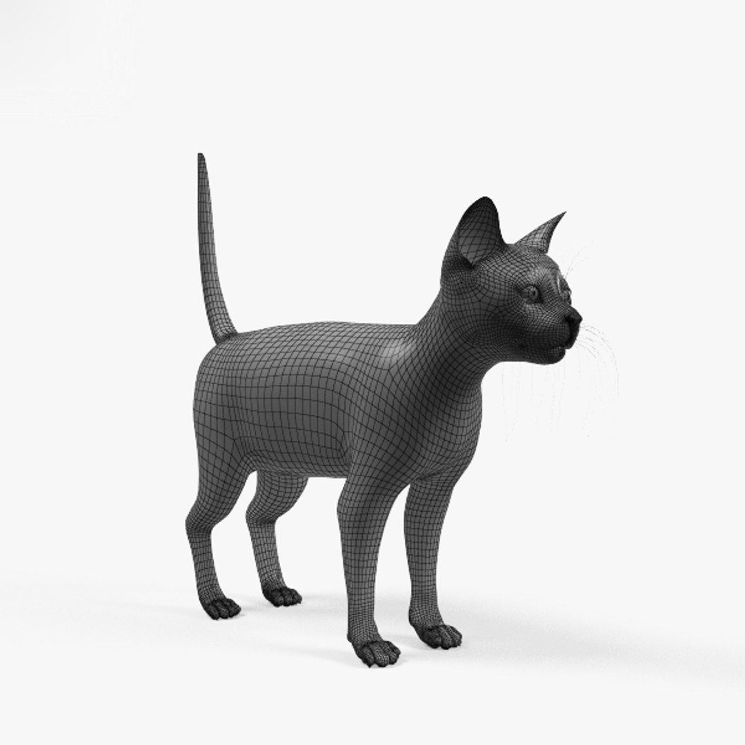 3D cat ginger model - TurboSquid 1362921