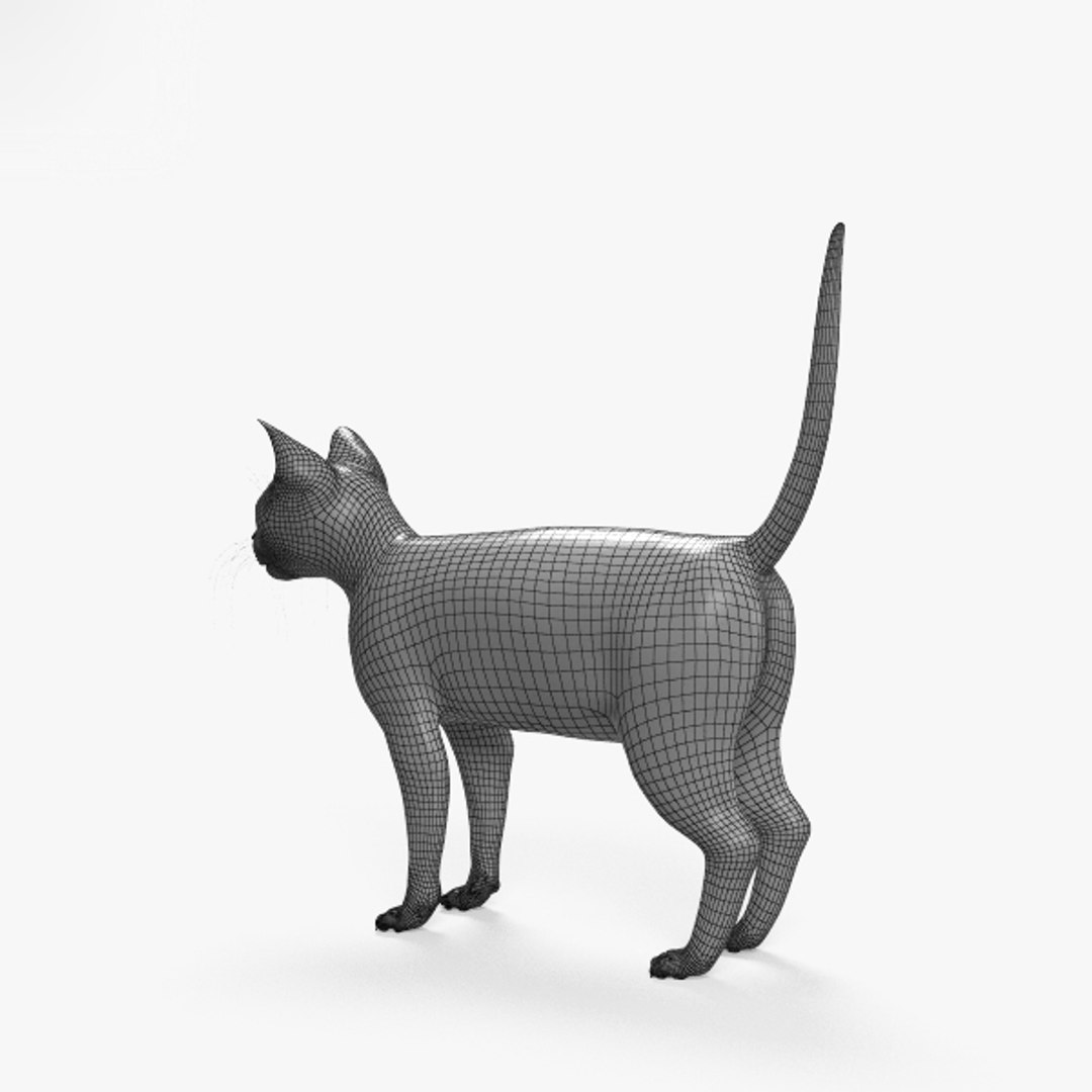 3D cat ginger model - TurboSquid 1362921
