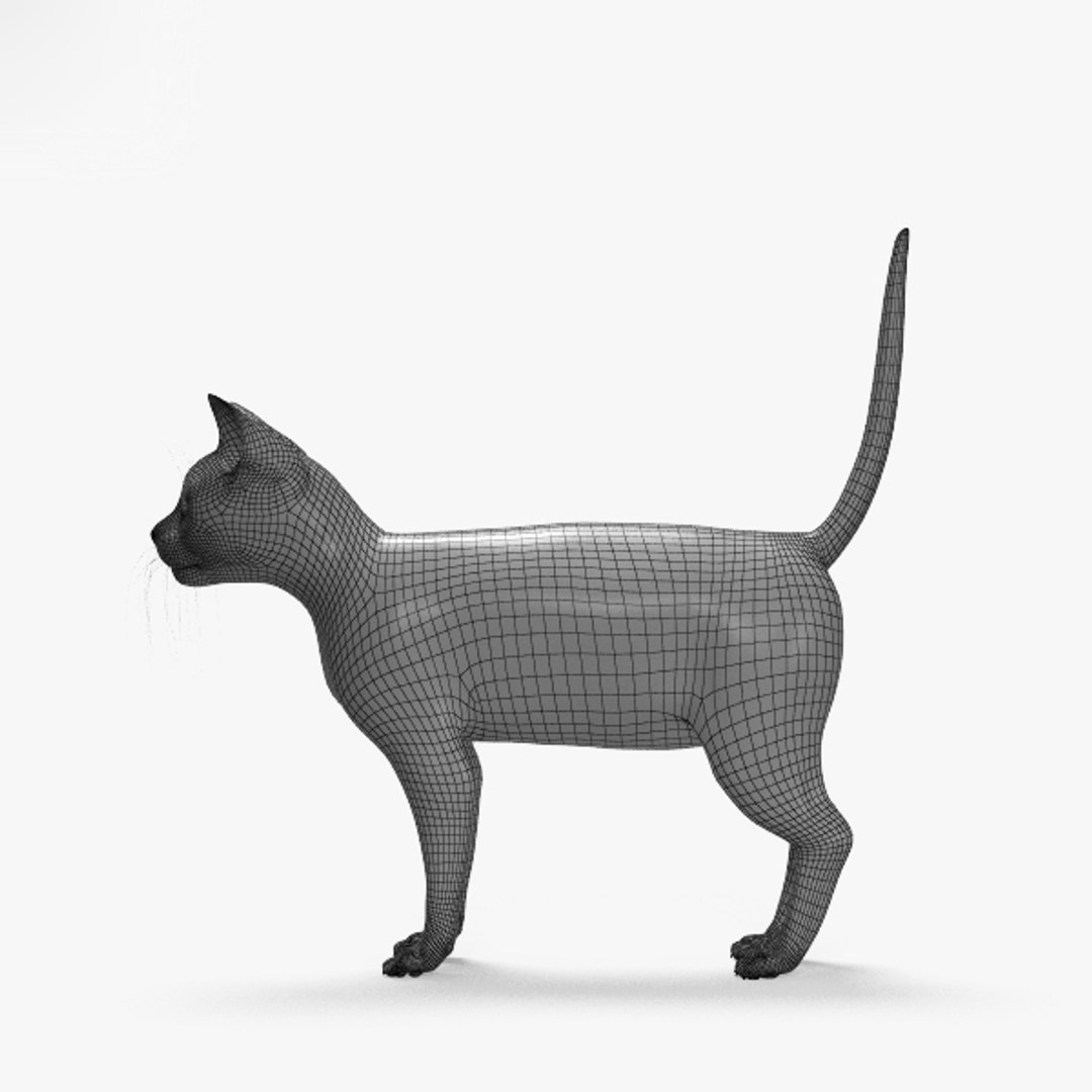 3D cat ginger model - TurboSquid 1362921