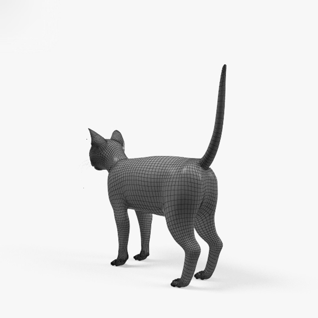 3D cat ginger model - TurboSquid 1362921