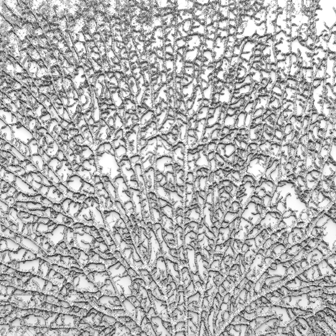 Panel Painting Coral 3d Model