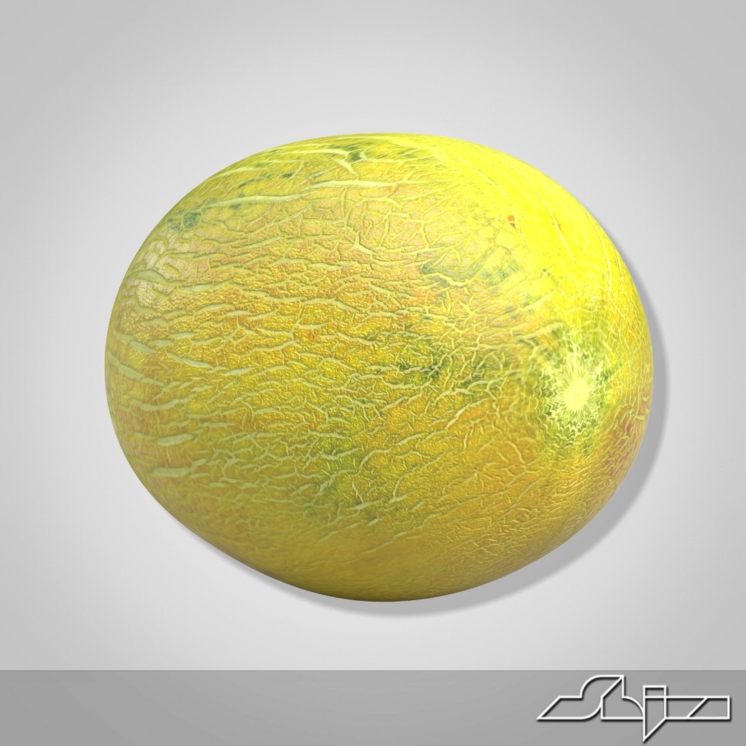 3d Model Melon