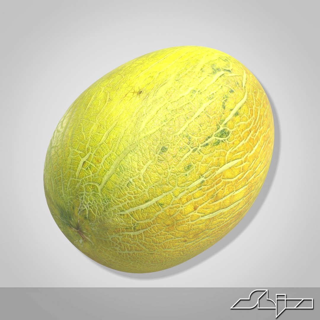 3d Model Melon