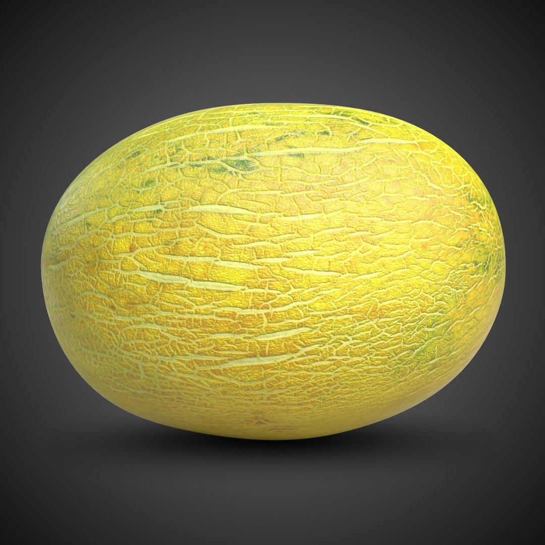 3d Model Melon