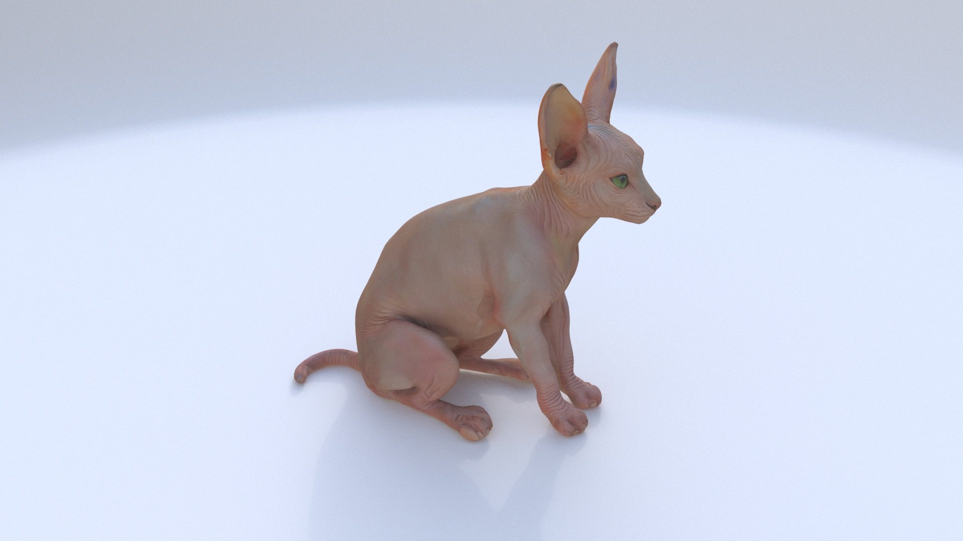 3D Model Sphynx Seated - TurboSquid 2334369