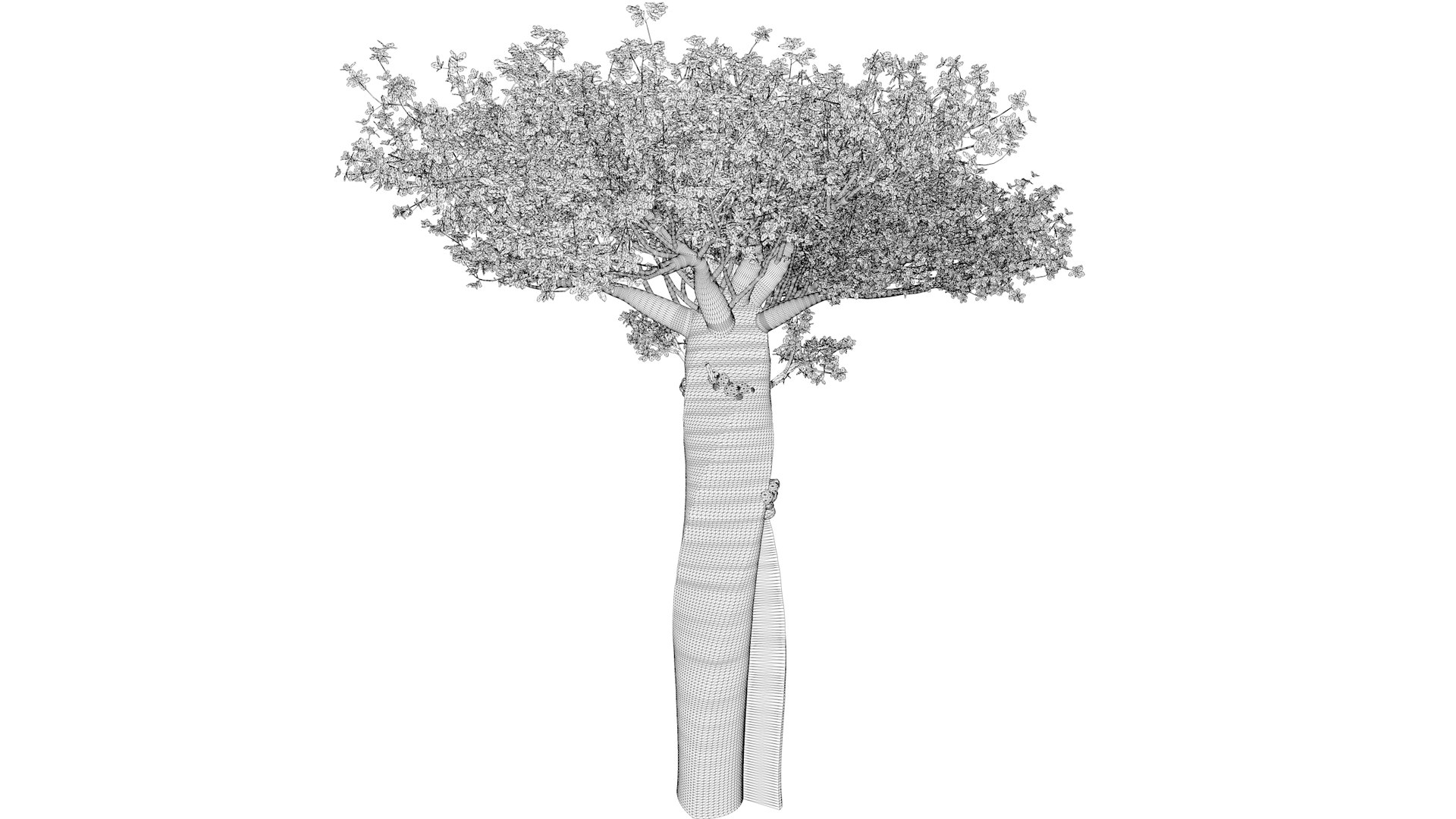Madagascan Baobab Tree - 10 - 3D Model - TurboSquid 2377159