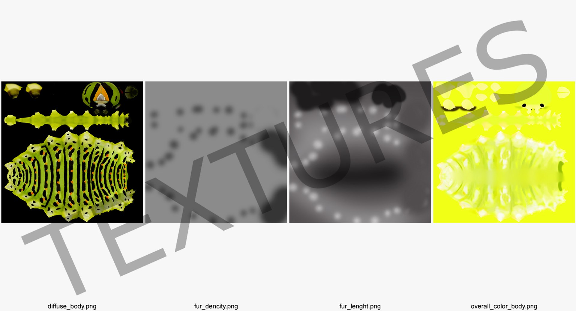 3d Model Caterpillar Pose 4 Fur